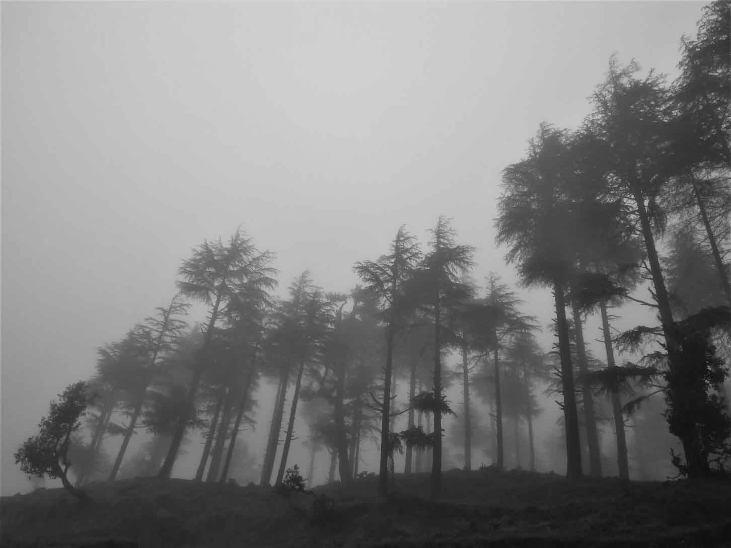 मानसून में कोहरा और पहाड़ - फोटो निबंध - Kafal Tree