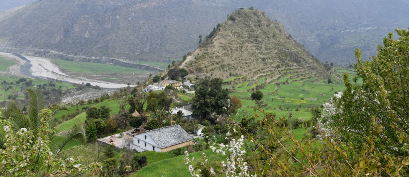 बेतालघाट की घाटी का वसंत - जयमित्र सिंह बिष्ट के फोटो - Betalghat Valley