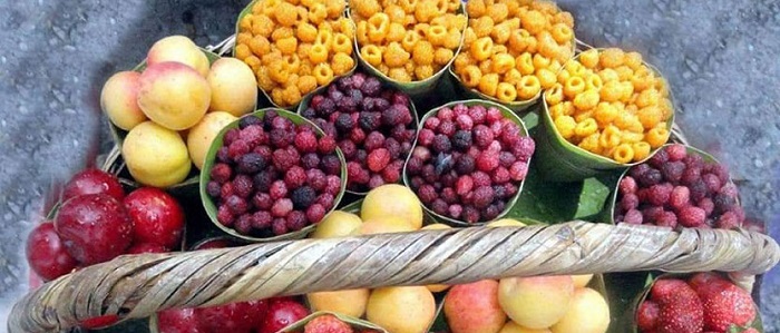 पहाड़ में काफल पक चुके हैं - Kafal Tree