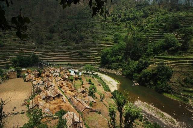 पहाड़ियों की मेहनत के प्रतीक घास के लूटे - Kafal Tree Kafal Tree