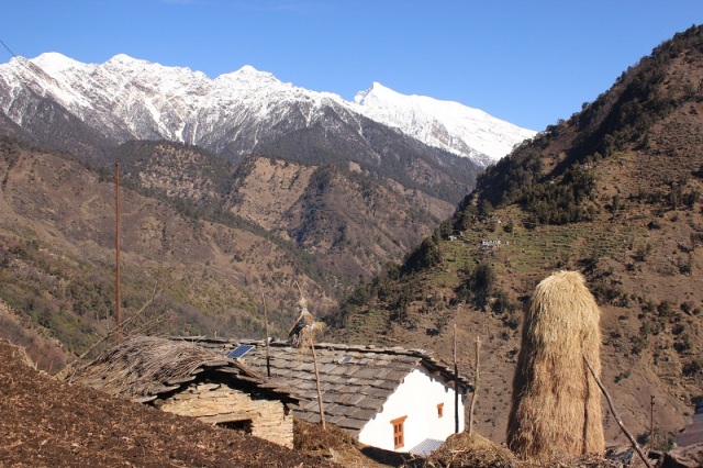 पहाड़ियों की मेहनत के प्रतीक घास के लूटे - Kafal Tree Kafal Tree