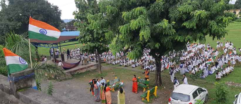 मेरे स्कूल का सुनहरा साल - Kafal Tree